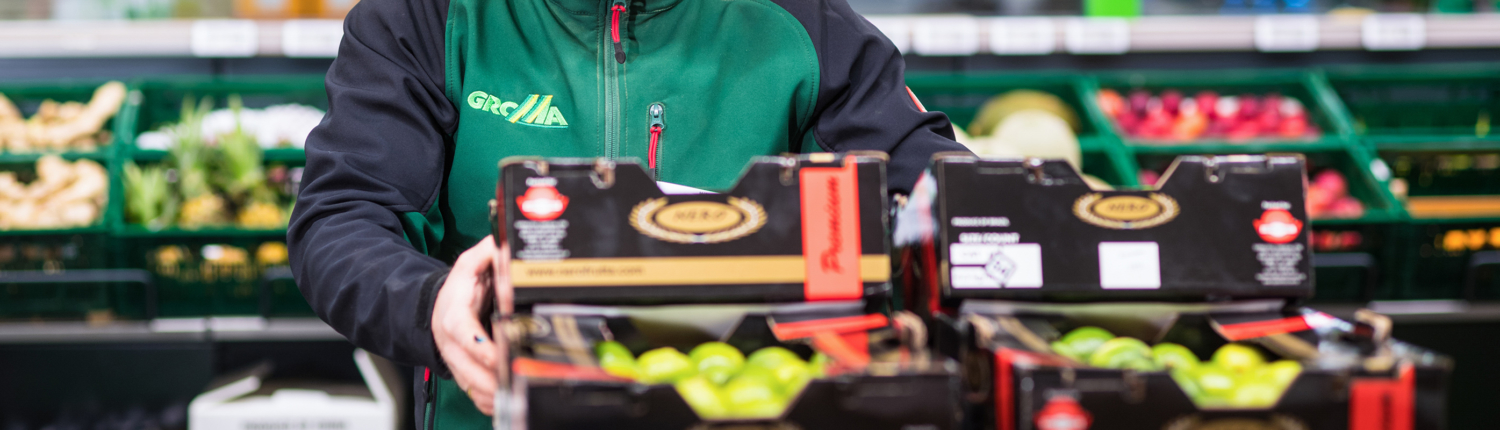 GROMA – …immer eine Idee voraus